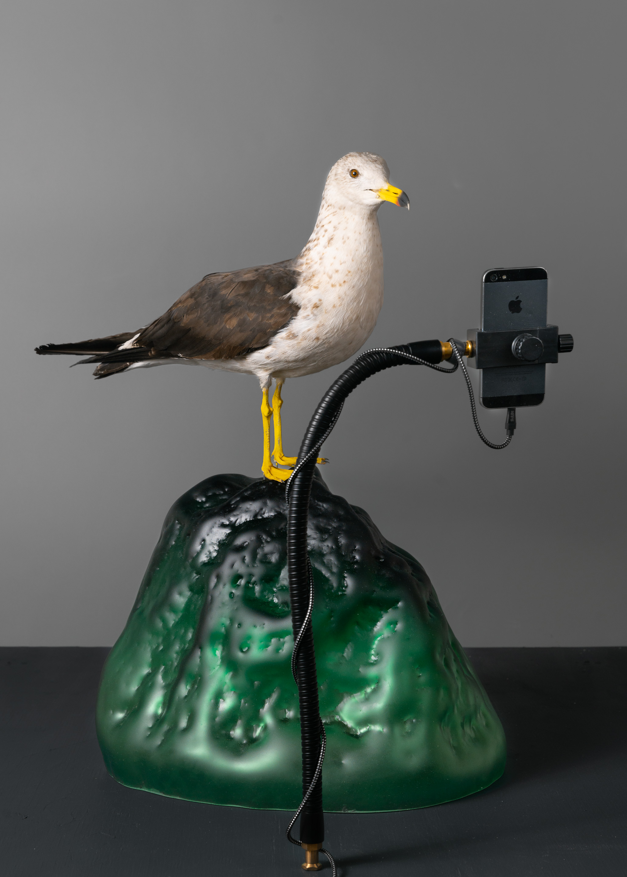 Joshua Reiman – SPACE