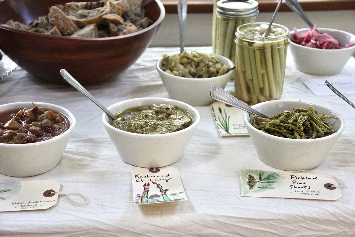 Foraged Feast – SPACE