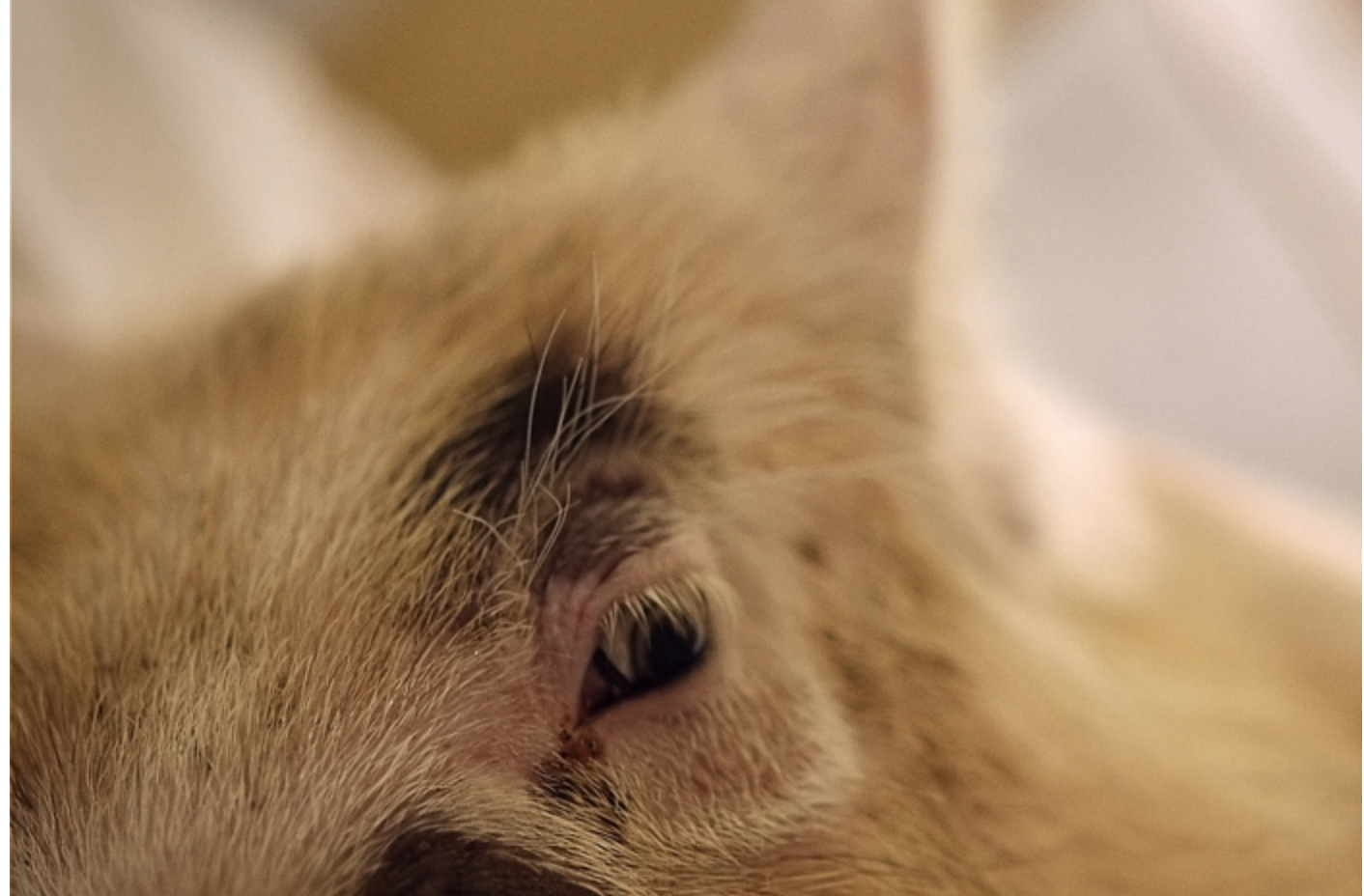 Upstream Color – SPACE