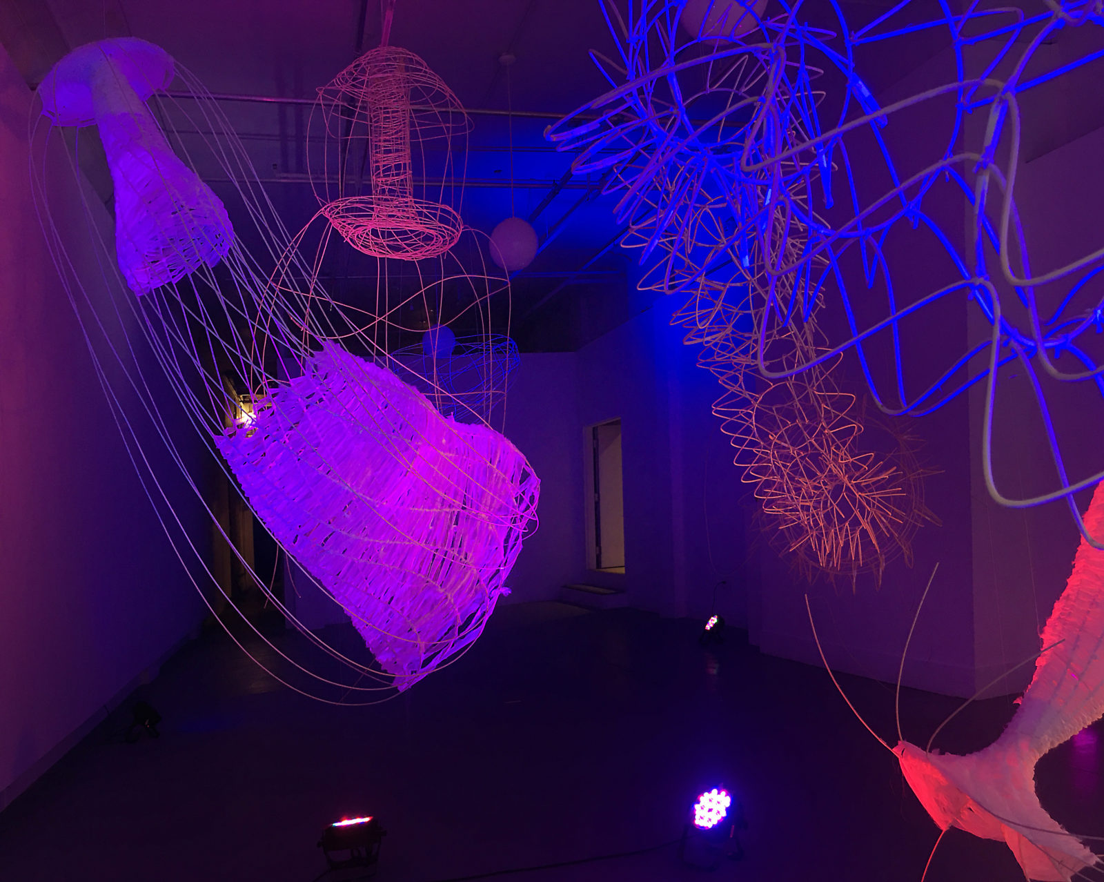 Interview with Daisy Braun – SPACE