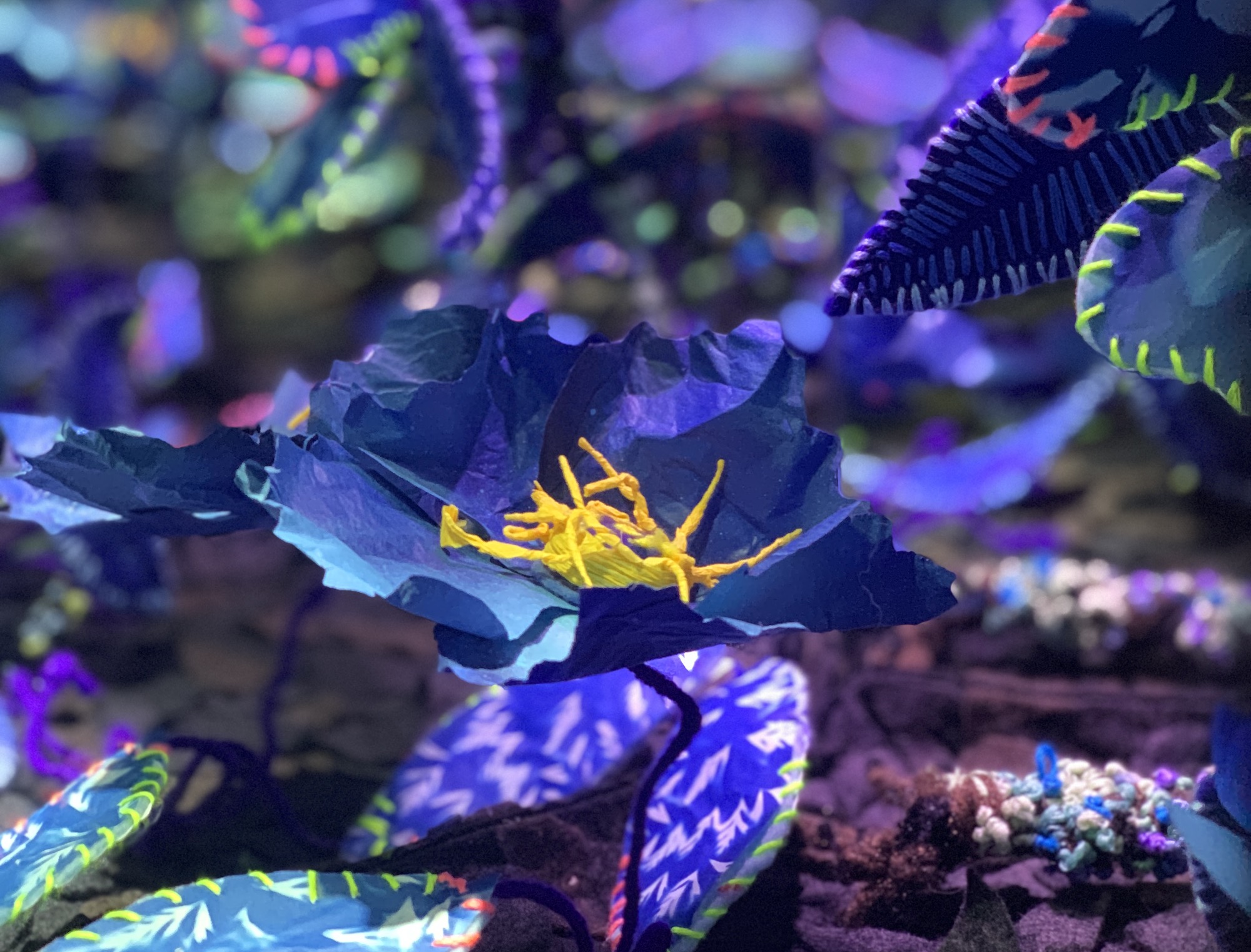 Heptagonals – SPACE