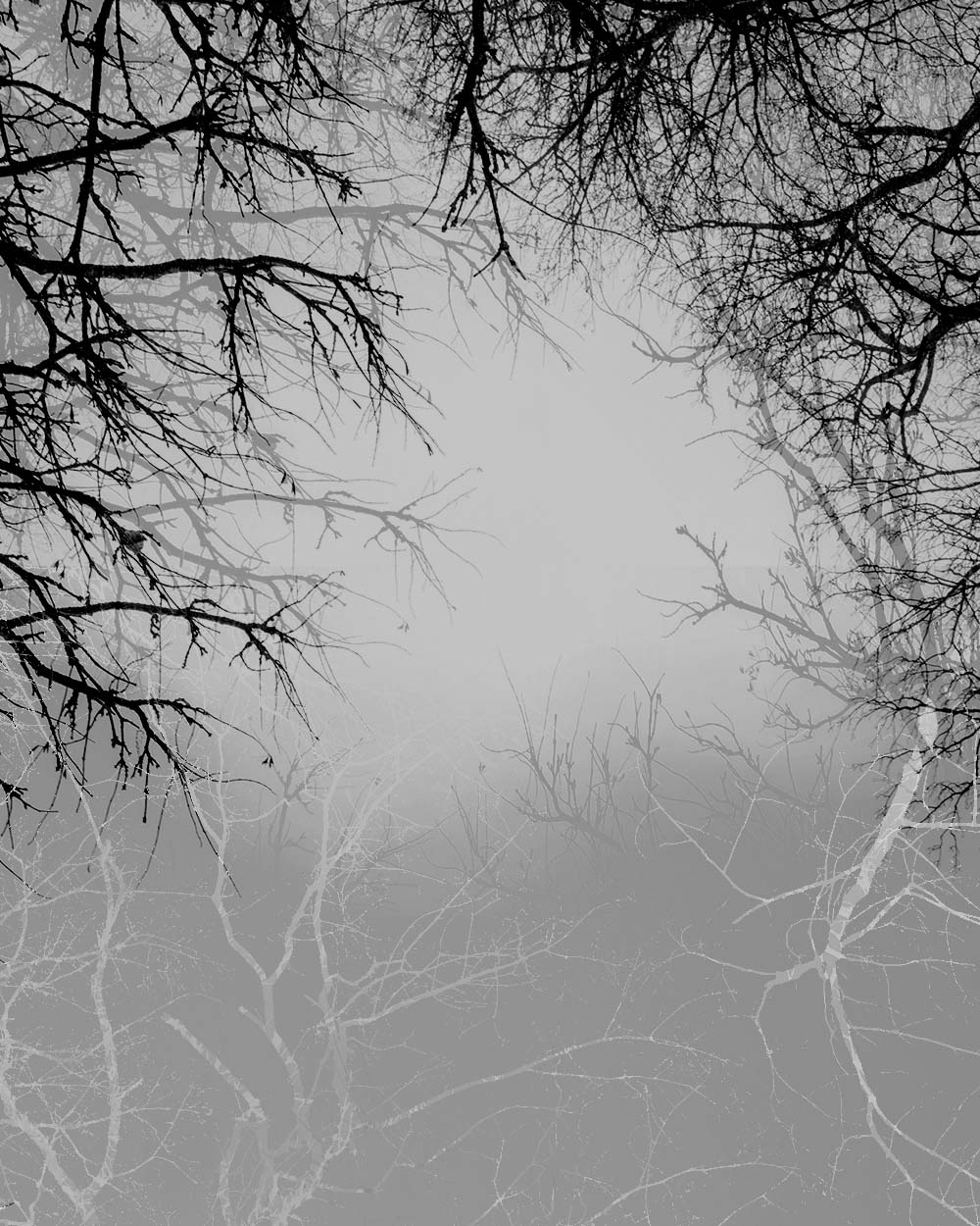 RAIN DATE 5/19: Re-Site 2024 | Maya Tihtiyas Attean – Roots of ...