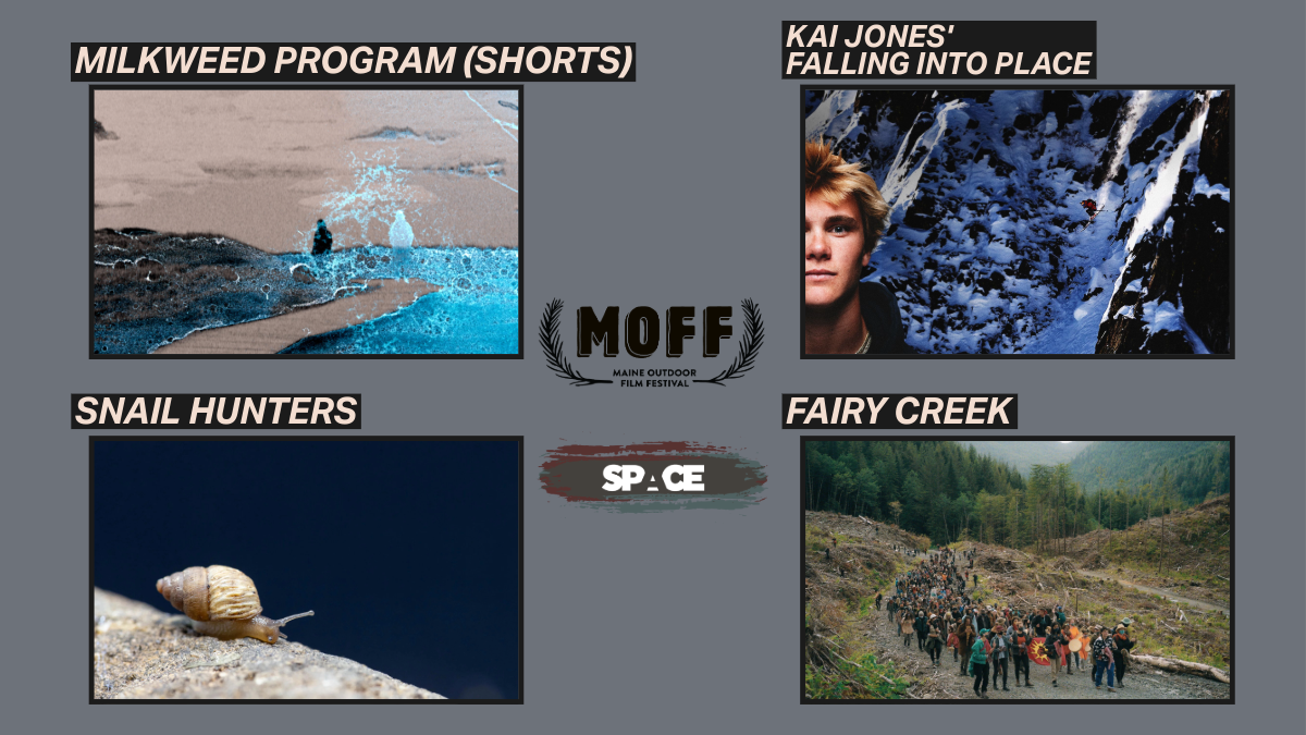 MOFF: Milkweed Program (Shorts), Snail Hunters, Kai Jones’ Falling Into ...